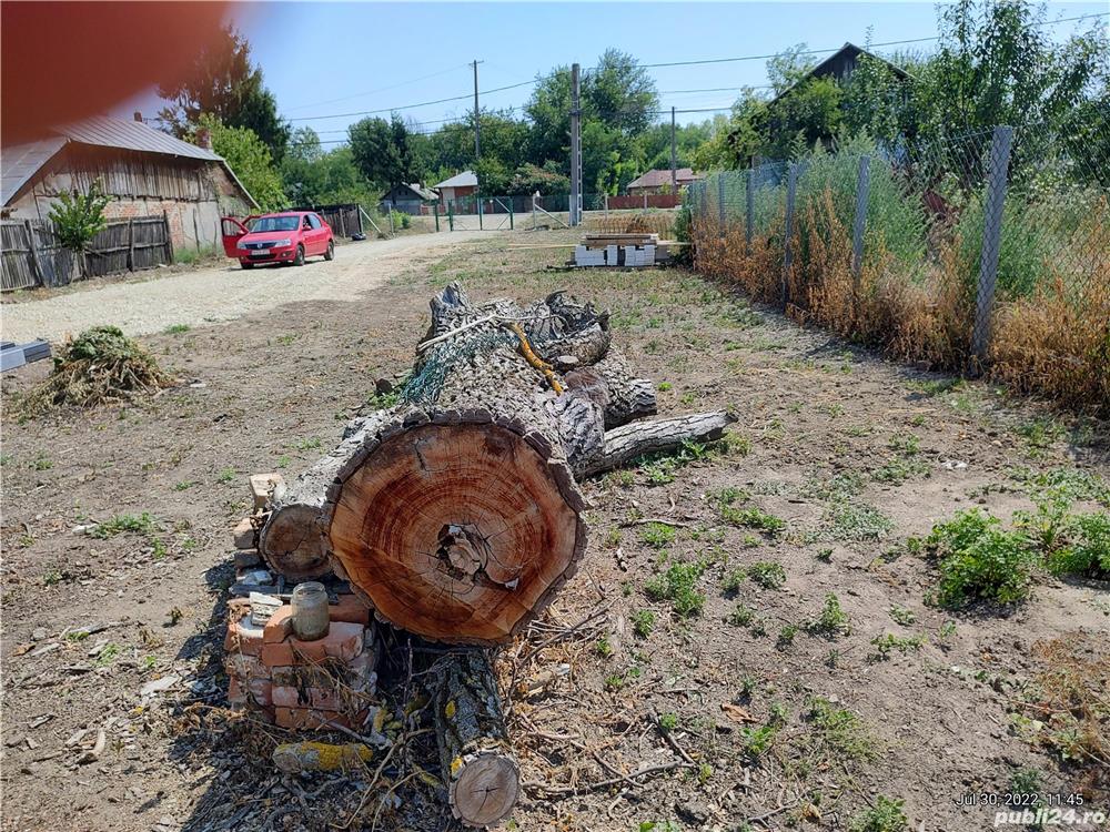 Lemn nuc calitate extra Lunca Corbului - Casa si gradina - Publi24.ro