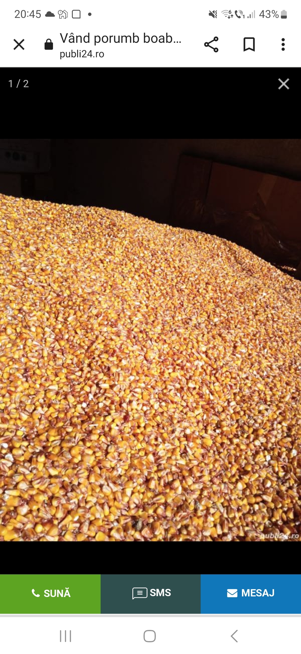 Vand porumb boabe Jebel - Casa si gradina - Publi24.ro