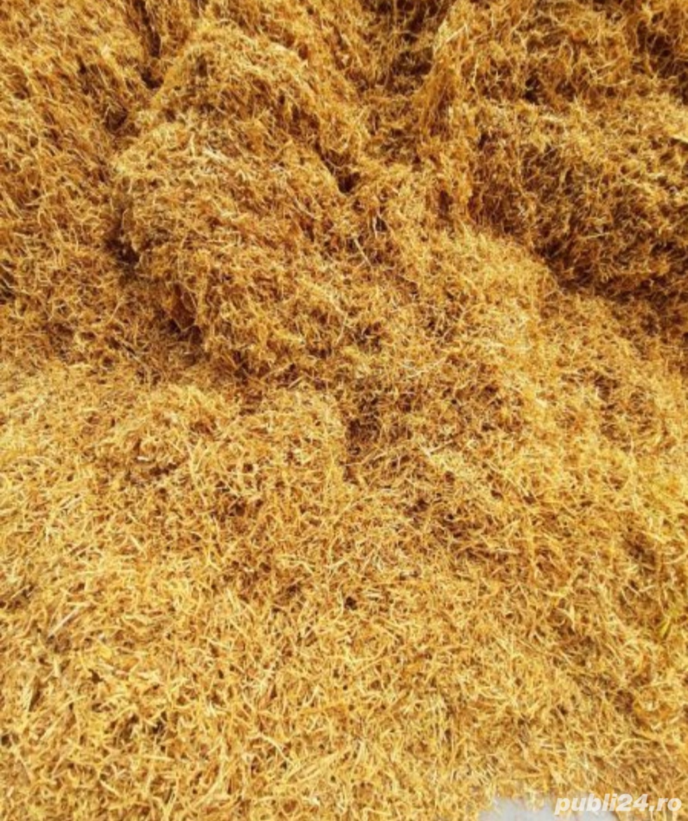 De calitate la cel mai bun pret Bistrita - Casa si gradina - Publi24.ro