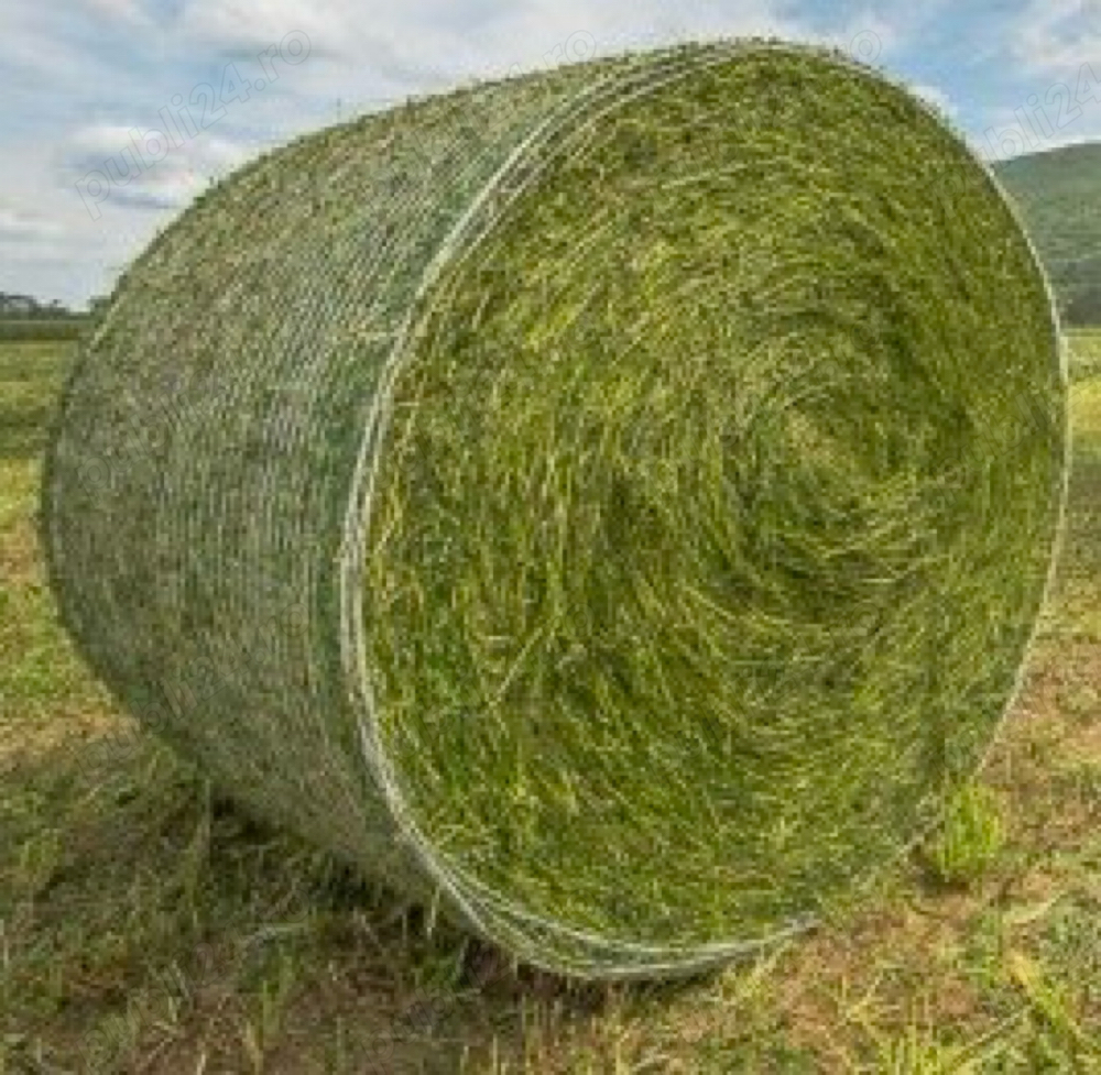 Baloti Lucerna Com. Bengesti-Ciocadia; Gorj Bengesti-Ciocadia - Casa si ...