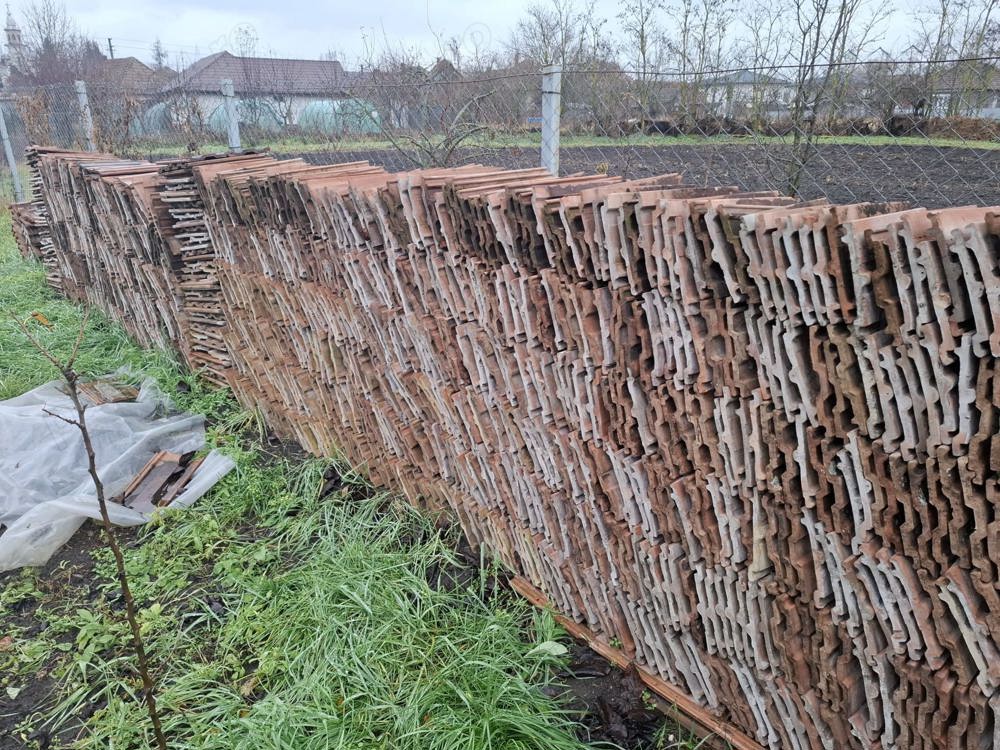 Vand Ciripuri Cluj-Napoca - Casa si gradina