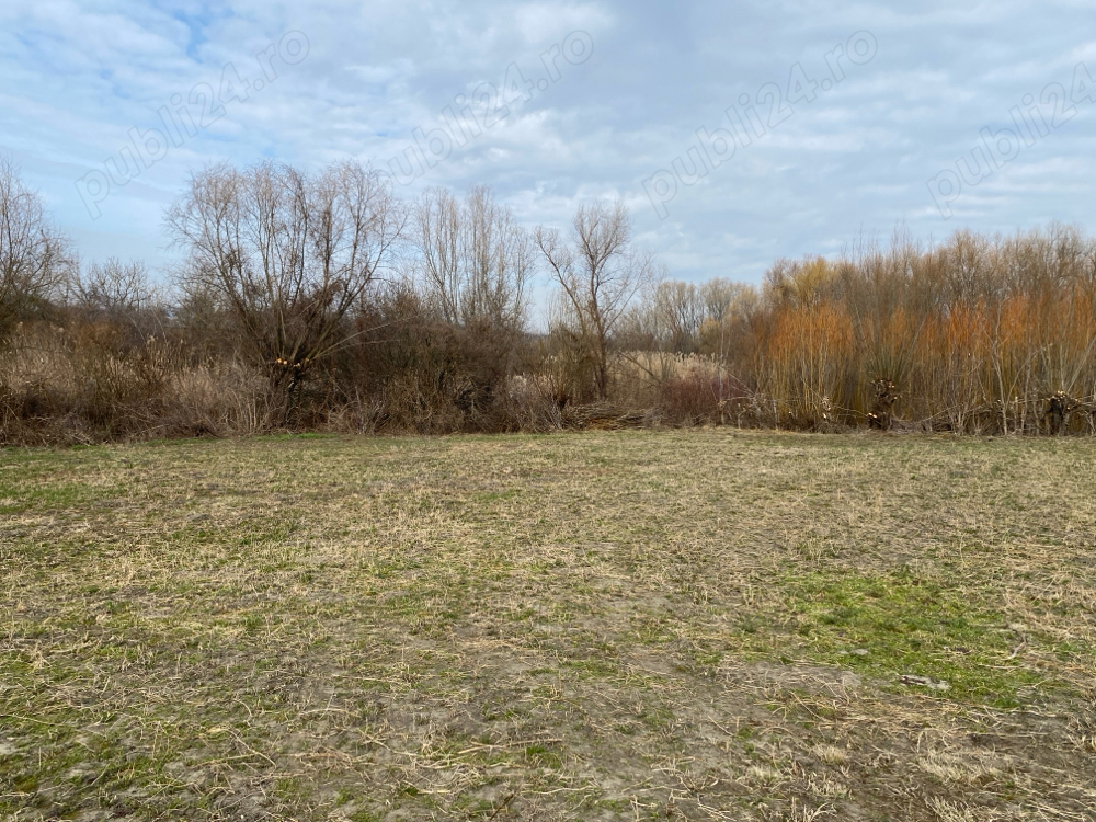 Se vinde teren Targu Bujor