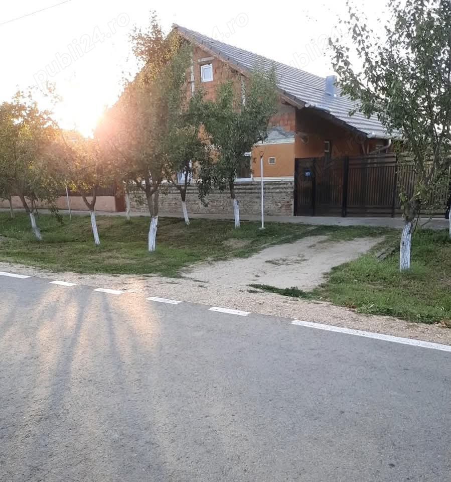 Casă de Vânzare Com. Cenad Cenad - Imobiliare