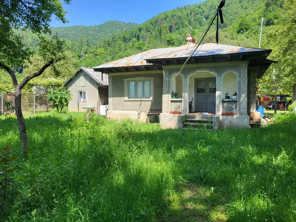 Teren si casa Sat Tarcau zona Garii Tarcau - Imobiliare