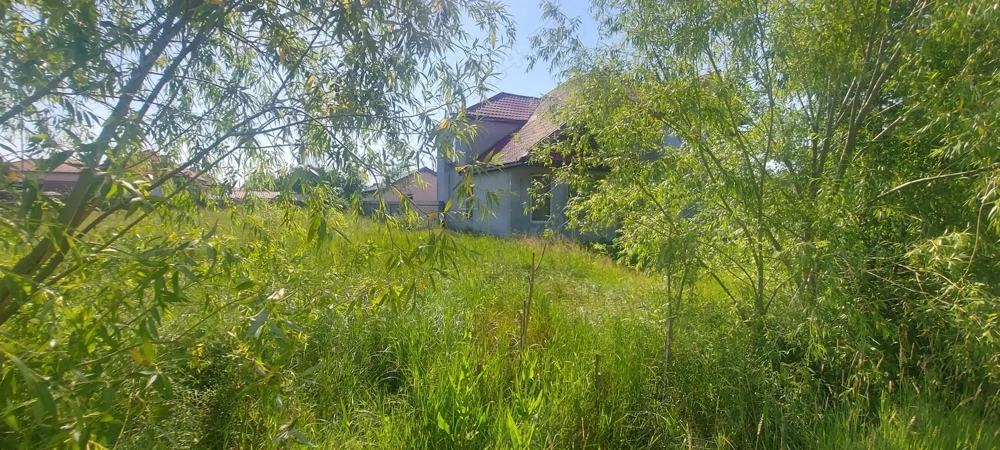 Vand teren intravilan 900 mp • Sacalaz, Timis