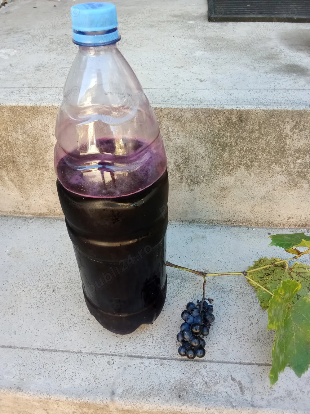 Vând vin de casă Alba Iulia - Casa si gradina