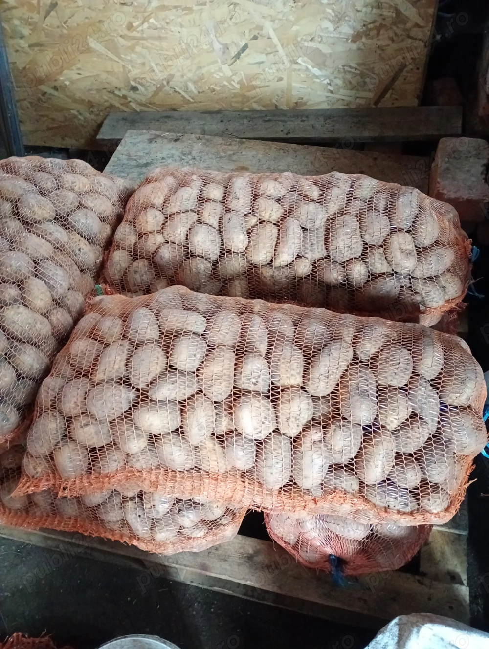 Cartofi albi de consum Fagaras - Casa si gradina