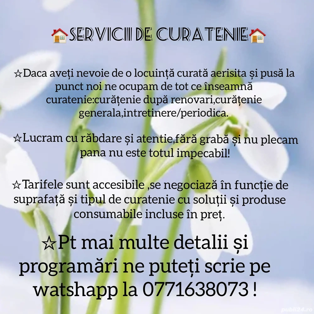 Servicii de curatenie profesionale Ramnicu Valcea - Servicii