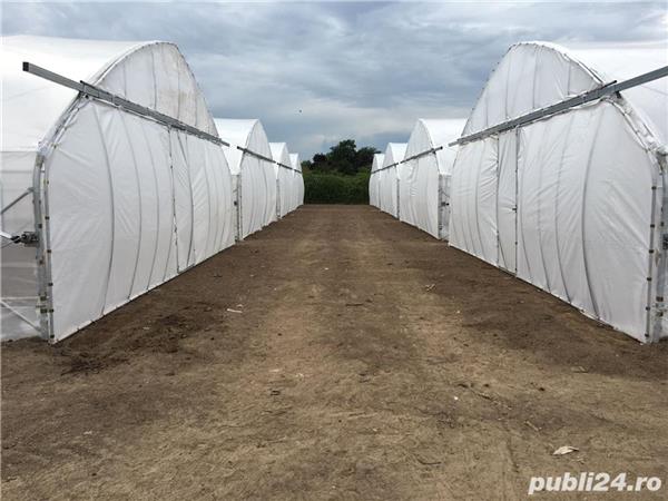 Proiectam si construim sere pentru flori : Galati - Casa si gradina
