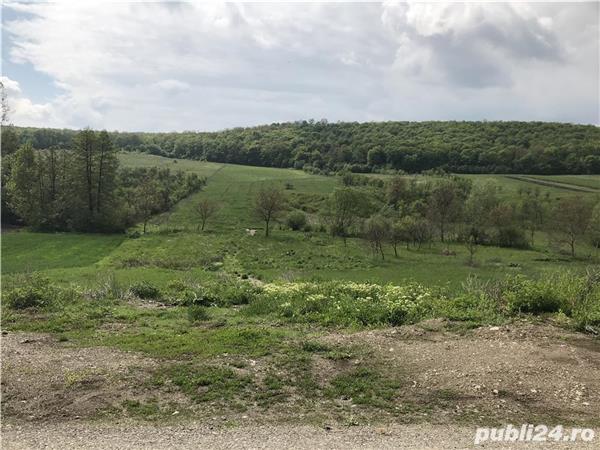 Vand teren extravilan • Hunedoara Hunedoara