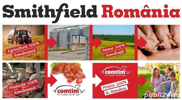 S.C Smithfield Romania S.R.L angajeaza Electrician Auto • Smithfield ...