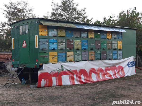 Pavilion Apicol Dancai - Casa si gradina