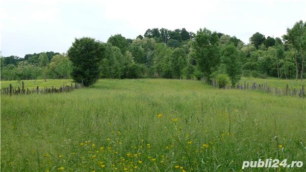 Vand teren intravilan • Alunis, Prahova