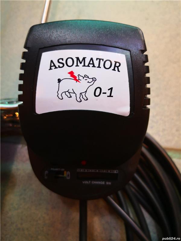 Vand asomator porci Timisoara - Animale - Publi24.ro