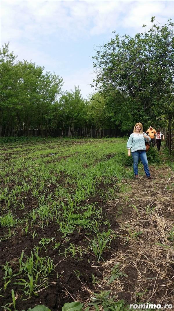 Vand teren pentru casa • Movilita, Ialomita