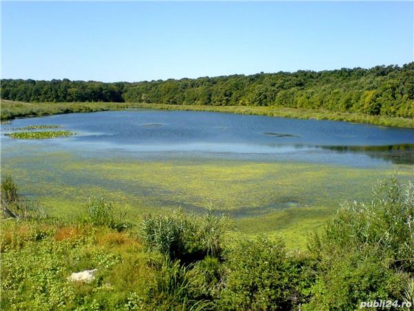 Vand teren intravilan • Gradistea Ilfov