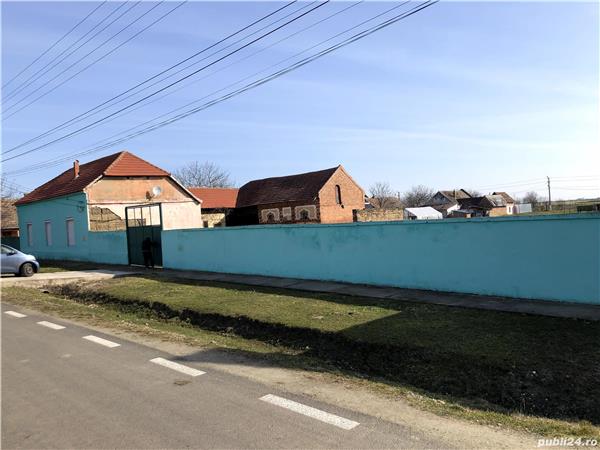 AAAm de vanzare ! Bulgarus