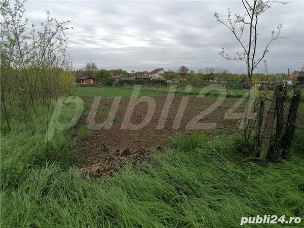Vand teren intravilan • Satchinez Timis