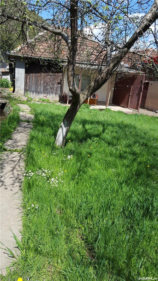 Vand casa la tara 61 mp • Bulz Bihor