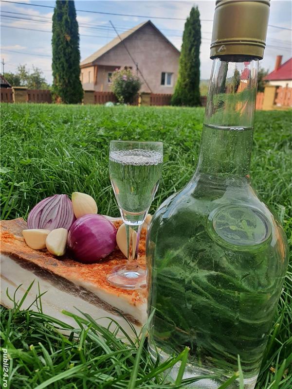 Horinca....Palincă Calinesti - Casa si gradina