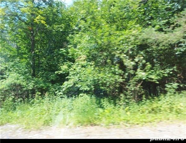 Vand teren pentru casa • Vanatori, Ilfov - Publi24