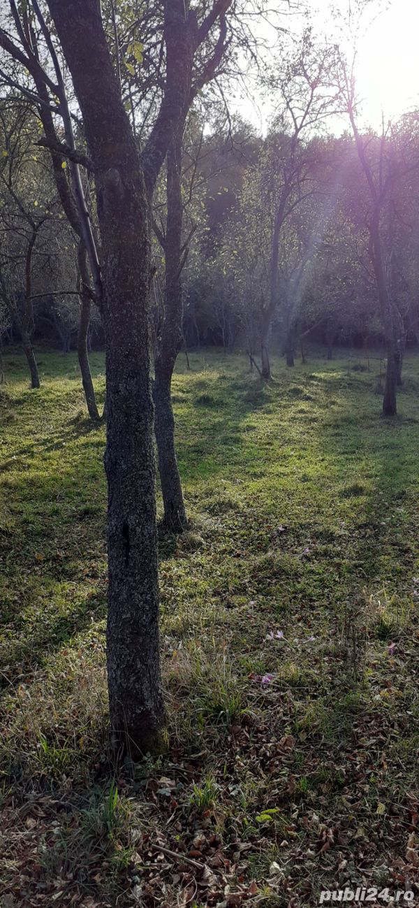 Vand teren extravilan • Valisoara (Balsa), Hunedoara