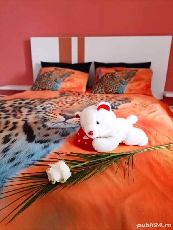 Regim hotelier deva Deva - Cazare - Turism