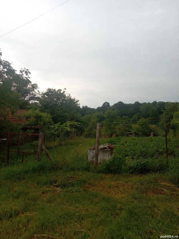 Vand teren intravilan • Zolt, Timis - Publi24