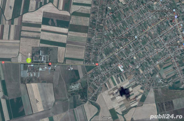 Vand teren agricol • Cenad, Timis - Publi24