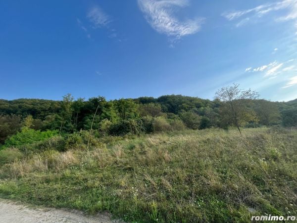 Vand teren intravilan 2700,0 mp • Paulis, Hunedoara