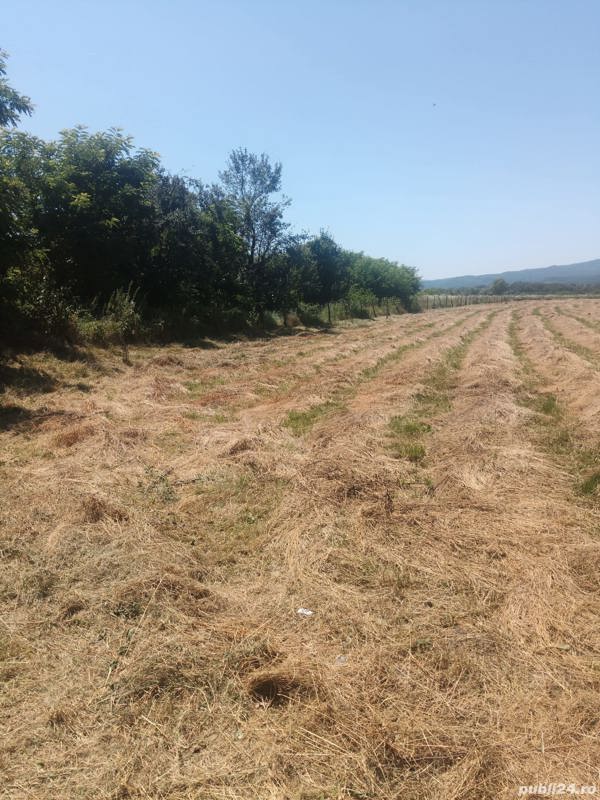 Vand teren intravilan • Bacea, Hunedoara