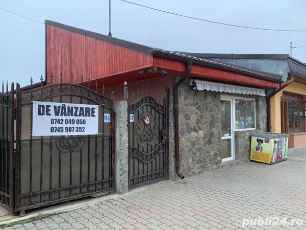 Vand casa 100,0 mp • Podu Turcului Bacau