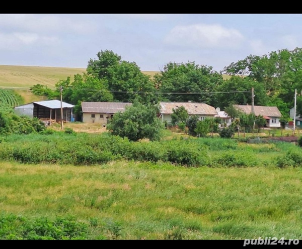 Vand casa la tara 37 mp • Recia-Verbia Botosani