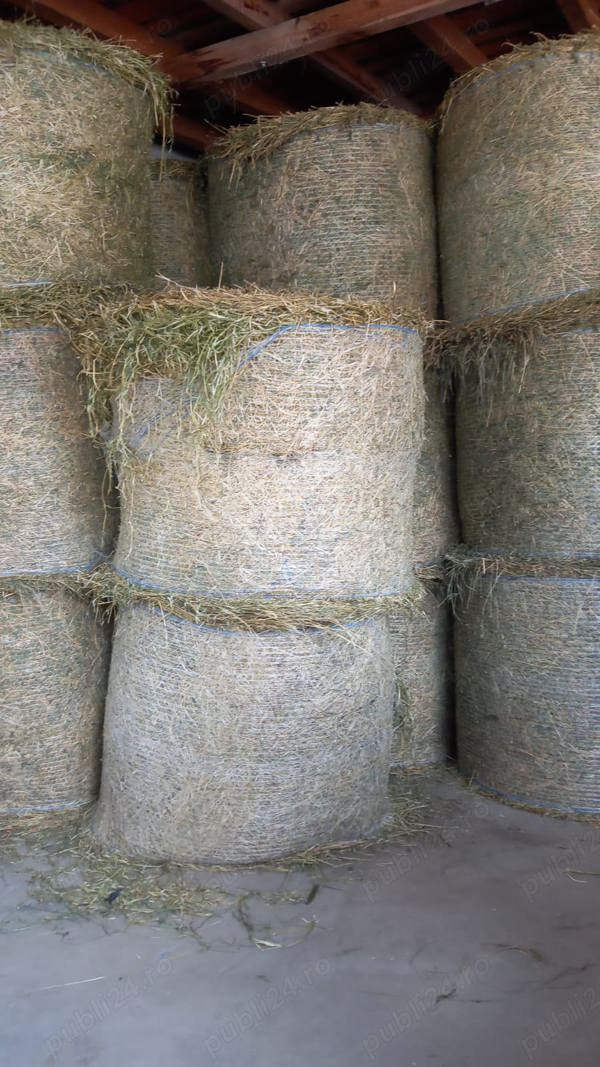 Vand baloti lucerna Deva - Casa si gradina - Publi24.ro