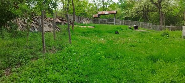 Vand casa la tara 2605,0 mp • Stanesti Valcea