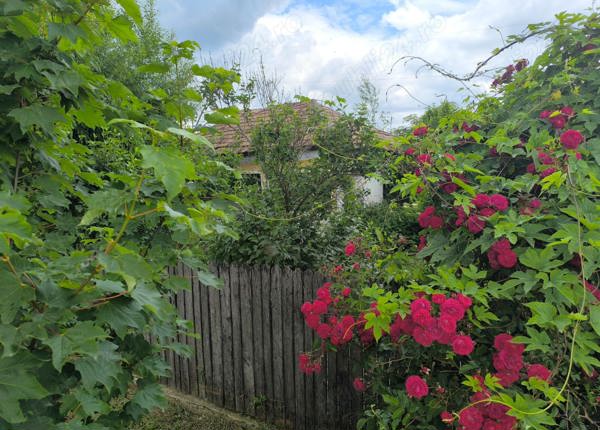 Vand casa 4200,0 mp • Govora Valcea