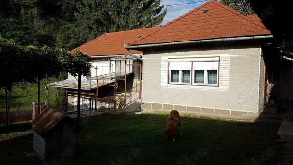 Vand casa la tara 5 camere cam. 180 mp • Ibanesti Mures