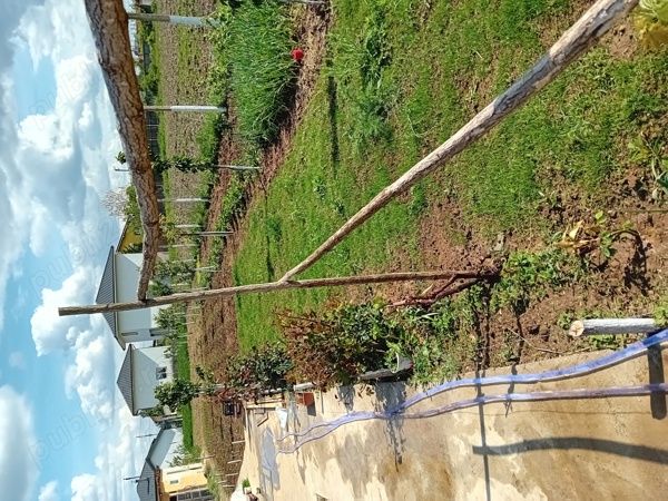 Vand casa la tara 25 mp • Sector 1 Bucuresti