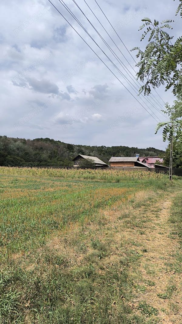 Vand teren intravilan • Vetisoara Arges