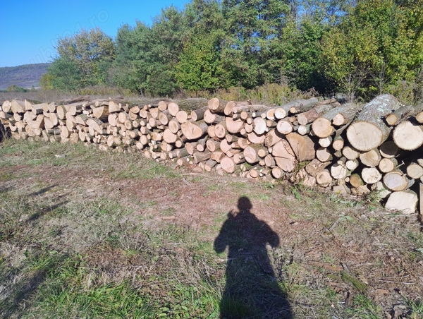 Vand lemne de foc stejar uscat transport la domiciliu Acatari - Casa si ...