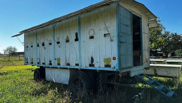 Vând pavilion apicol Buzias - Casa si gradina
