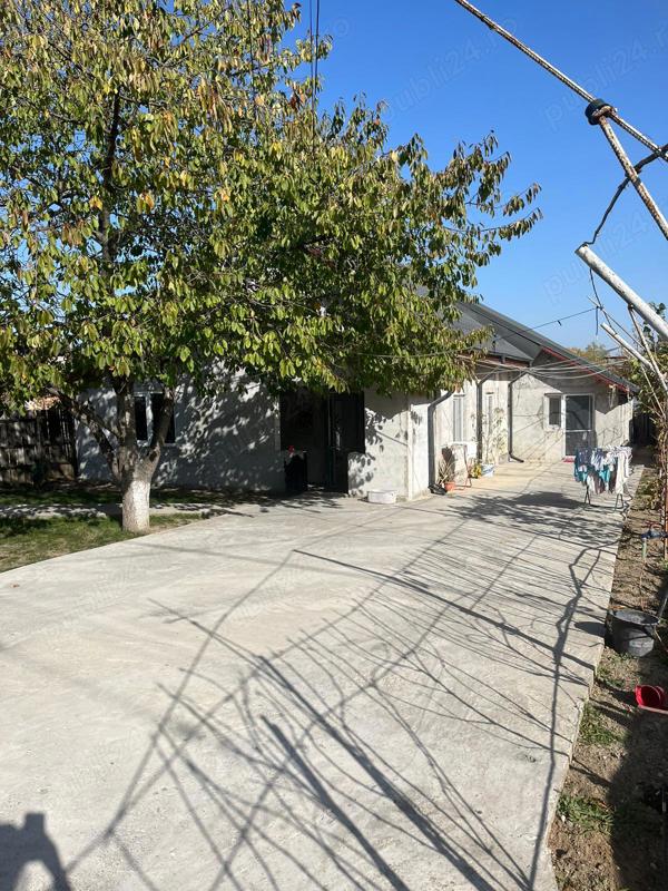 Vand casa 1000,0 mp • Bals Olt