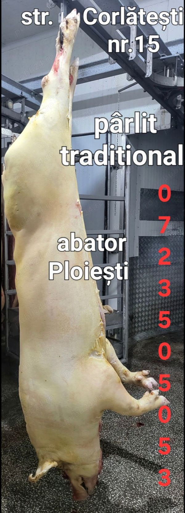 Carne porc carcasa pârlită tradițional minim jumătate producator local ...