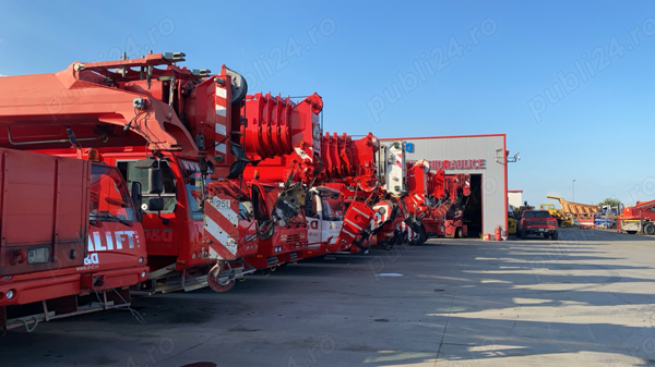 Macaragiu (automacara & macarale senilate ) • D&D • Arad Arad