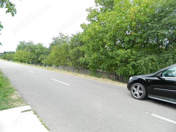 Vand livada • Cuca, Arges