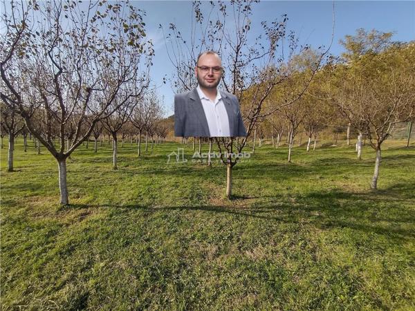 Vand teren extravilan 1445 mp front stradal 60 • Sasca Montana, Caras ...