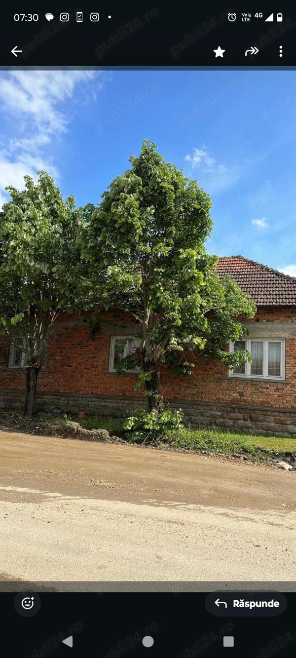 Vand casa la tara 3 camere cam. 3300 mp • Petid Bihor