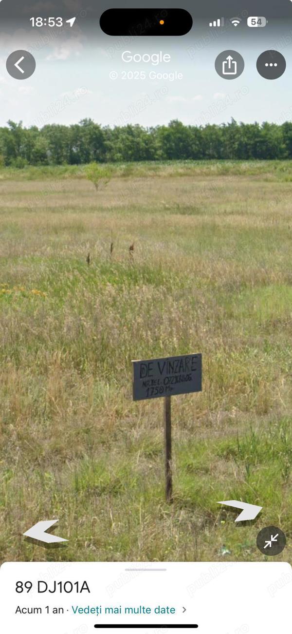 Teren de vizare COCORASTII COLT