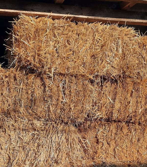 Vand Baloti de Paie de Grau. Pret fix 18 lei balotul Arad - Casa si gradina