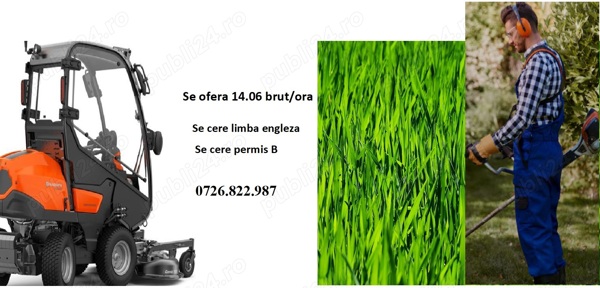 Cautam operator tuns iarba • Maria • Sector 1 Bucuresti